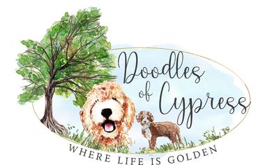 doodles making a difference