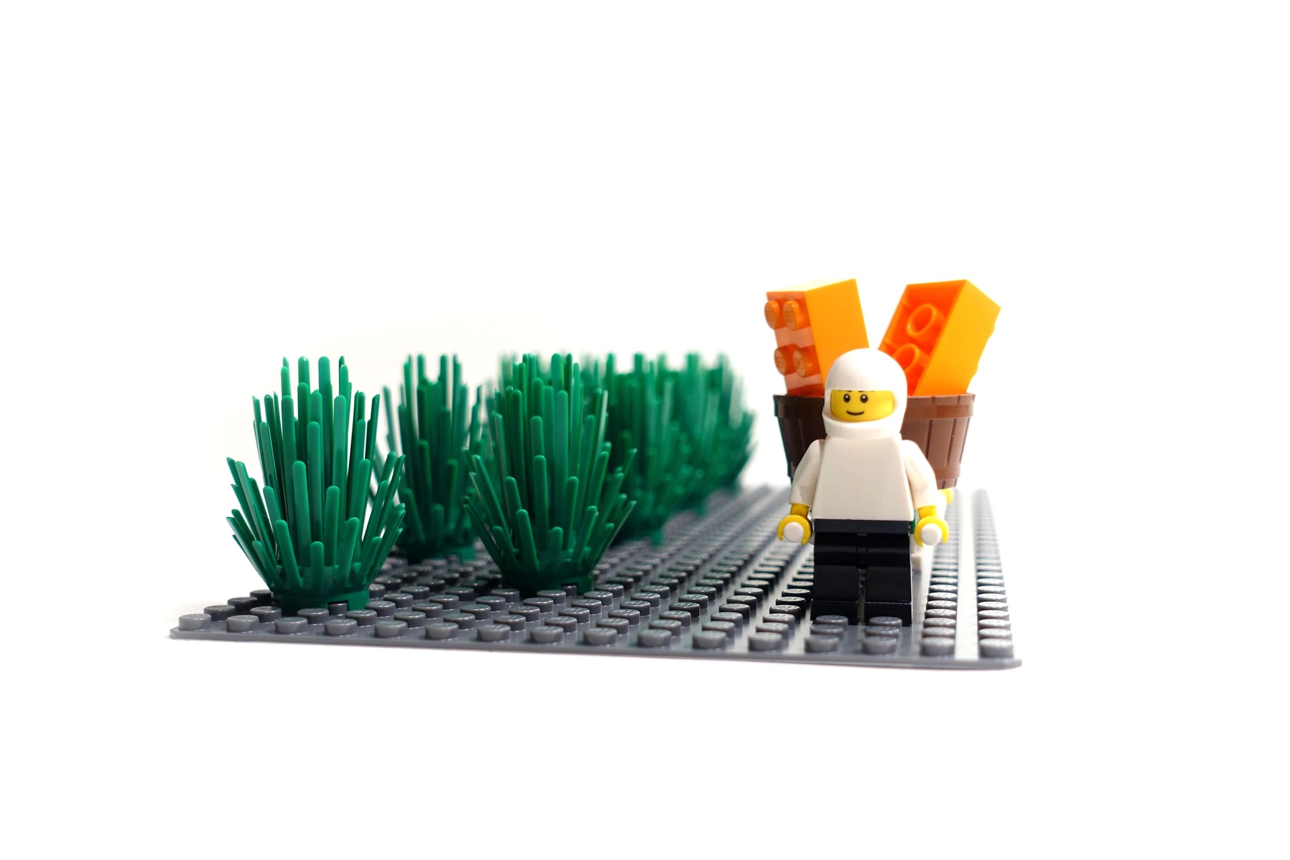 LEGO® Based Therapy Vs LEGO® Serious Play