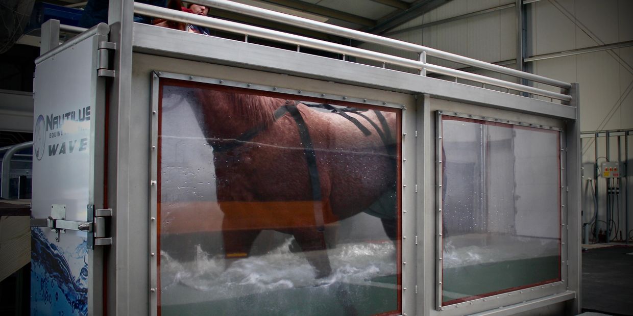 Aqua Treadmill | Helios Equine Rehabilitation Center
