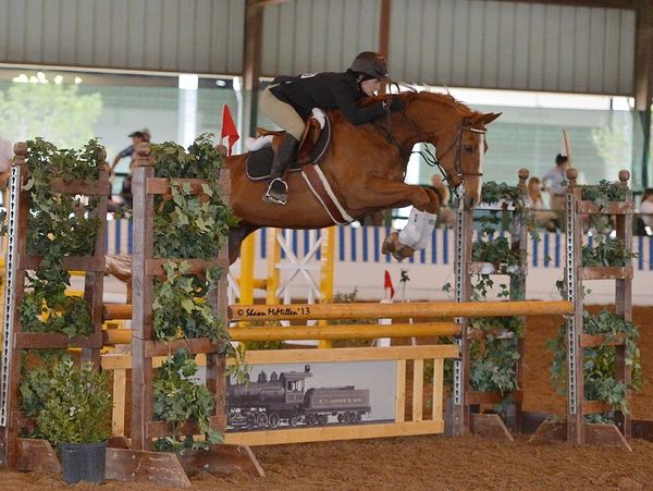 Custom Riding Lessons