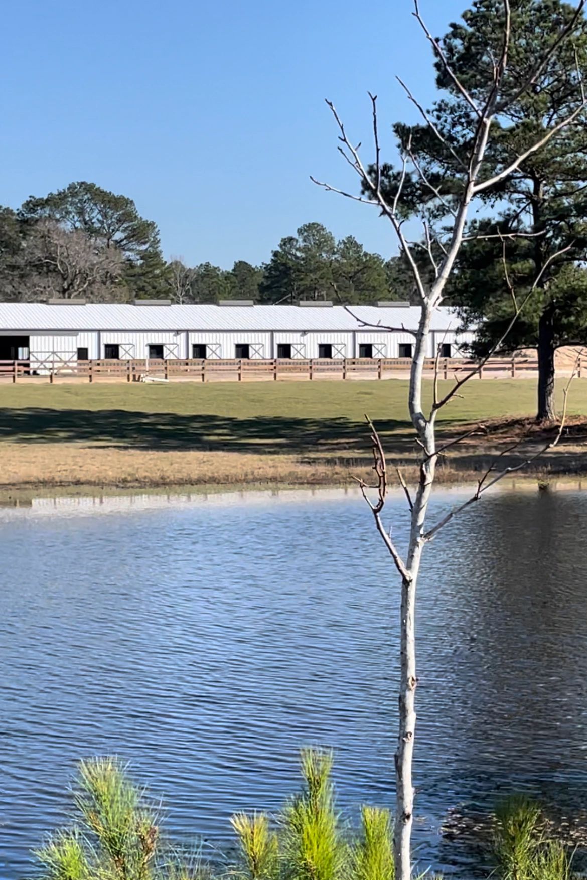 Horse Boarding Stables - Sherwood Sporthorses Equestrian Facility