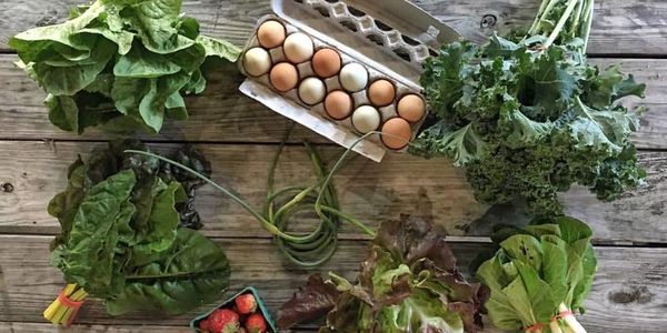 Harvest Moon Farm and Orchard