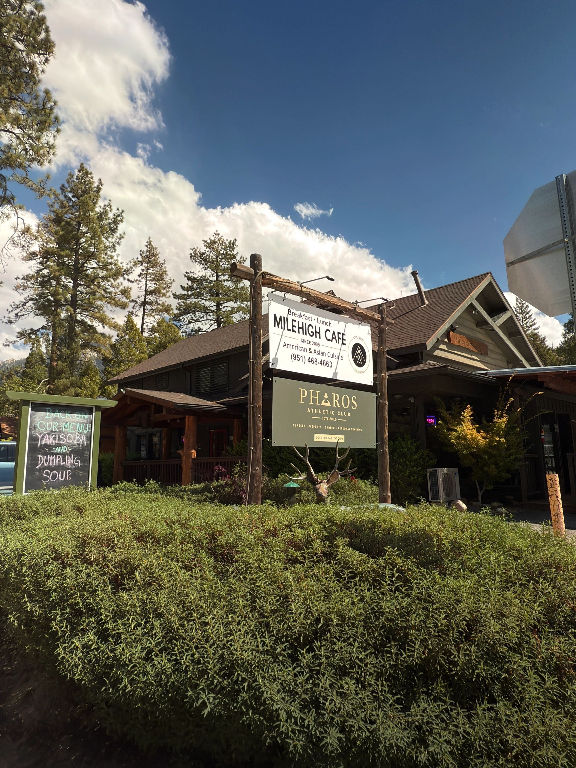 Mile High Cafe: Eclectic Asian & American Fare in Idyllwild