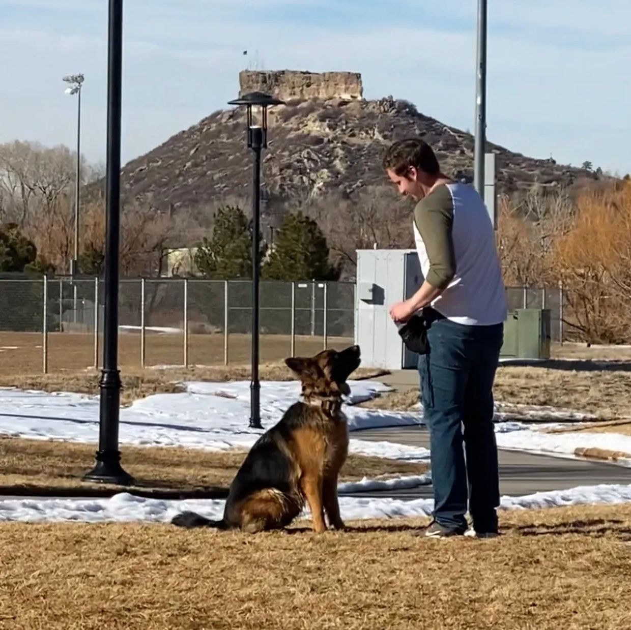 Home [coloradok9company.com]