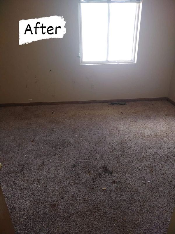 Junk Removal and Demolition - TRASH -OUT CREW LLC