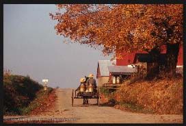 Seasonal Photo Gallery, Amish Country