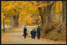Seasonal Photo Gallery, Amish Country