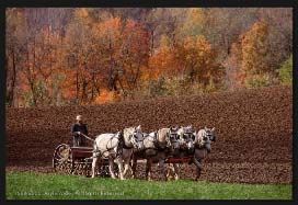 Seasonal Photo Gallery, Amish Country
