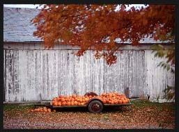 Seasonal Photo Gallery, Amish Country