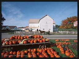 Seasonal Photo Gallery, Amish Country
