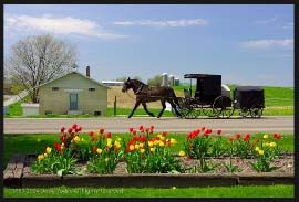 Seasonal Photo Gallery, Amish Country