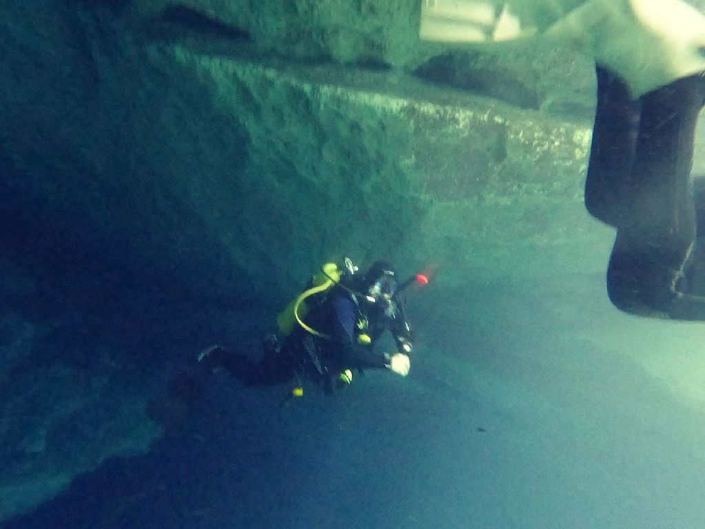 Bottom Dwellers - SCUBA Instruction, Travel,SCUBA Gear