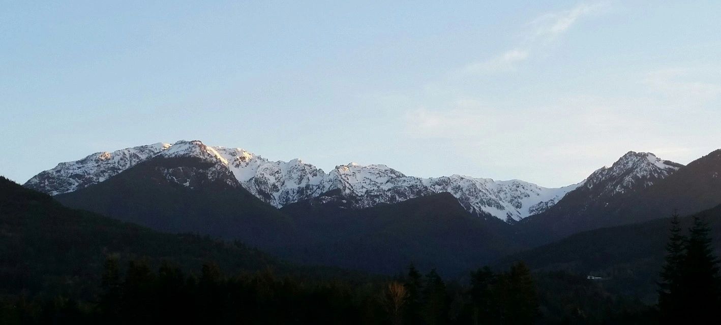 Timberline Accounting