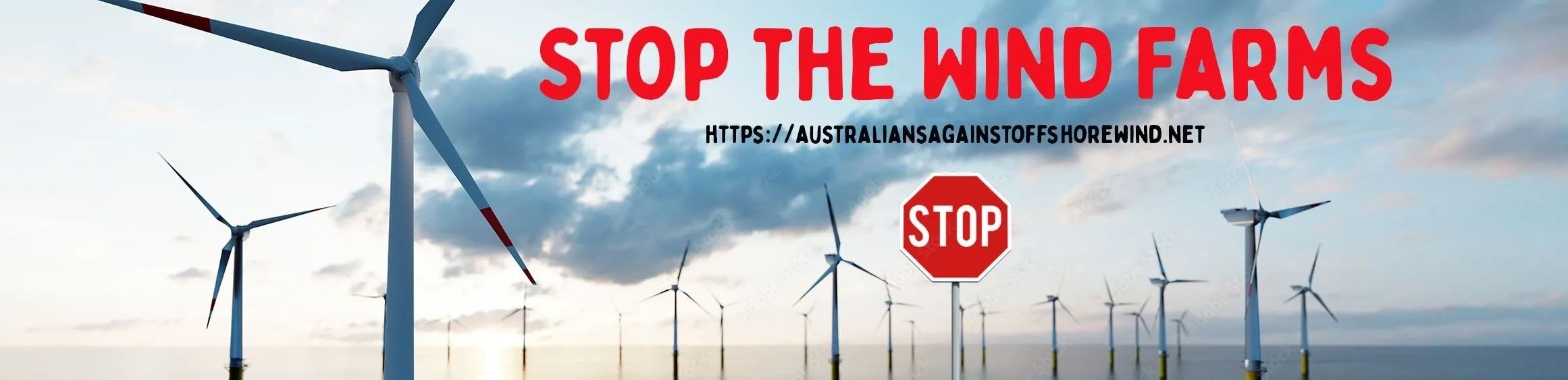 Protecting Marine Ecosystems: Advocating for our Oceans