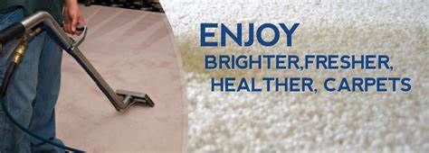 Checkered Flag Carpet Care - Home