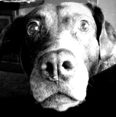 Autumn Records Studio