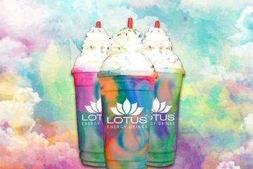 Gypsy Java | Gypsy Java