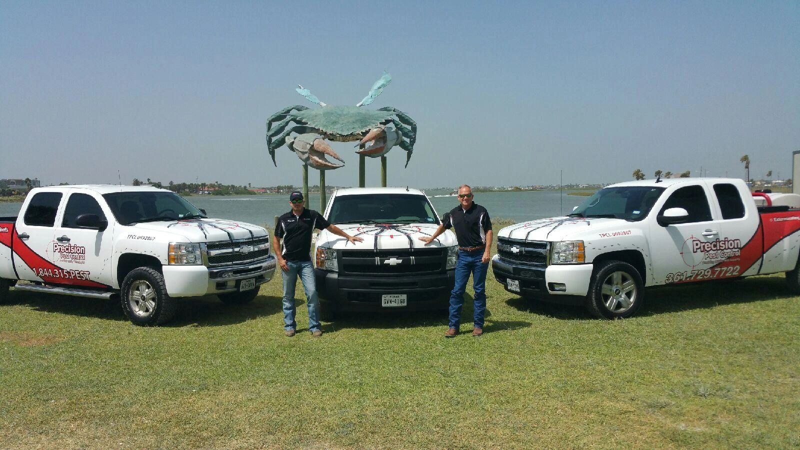 Pest Control - Precision Pest Control