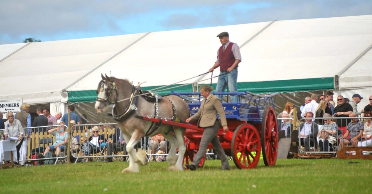 Ripley Show - 10th August 2025