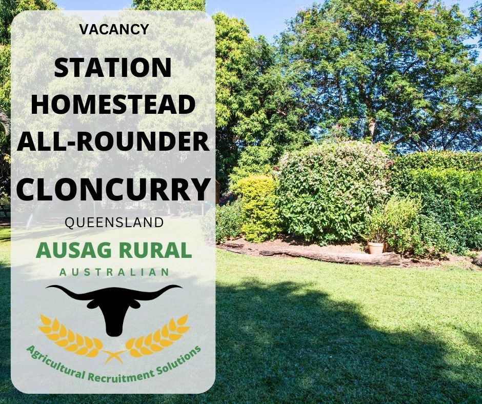 Station Homestead All-Rounder, CLONCURRY QLD