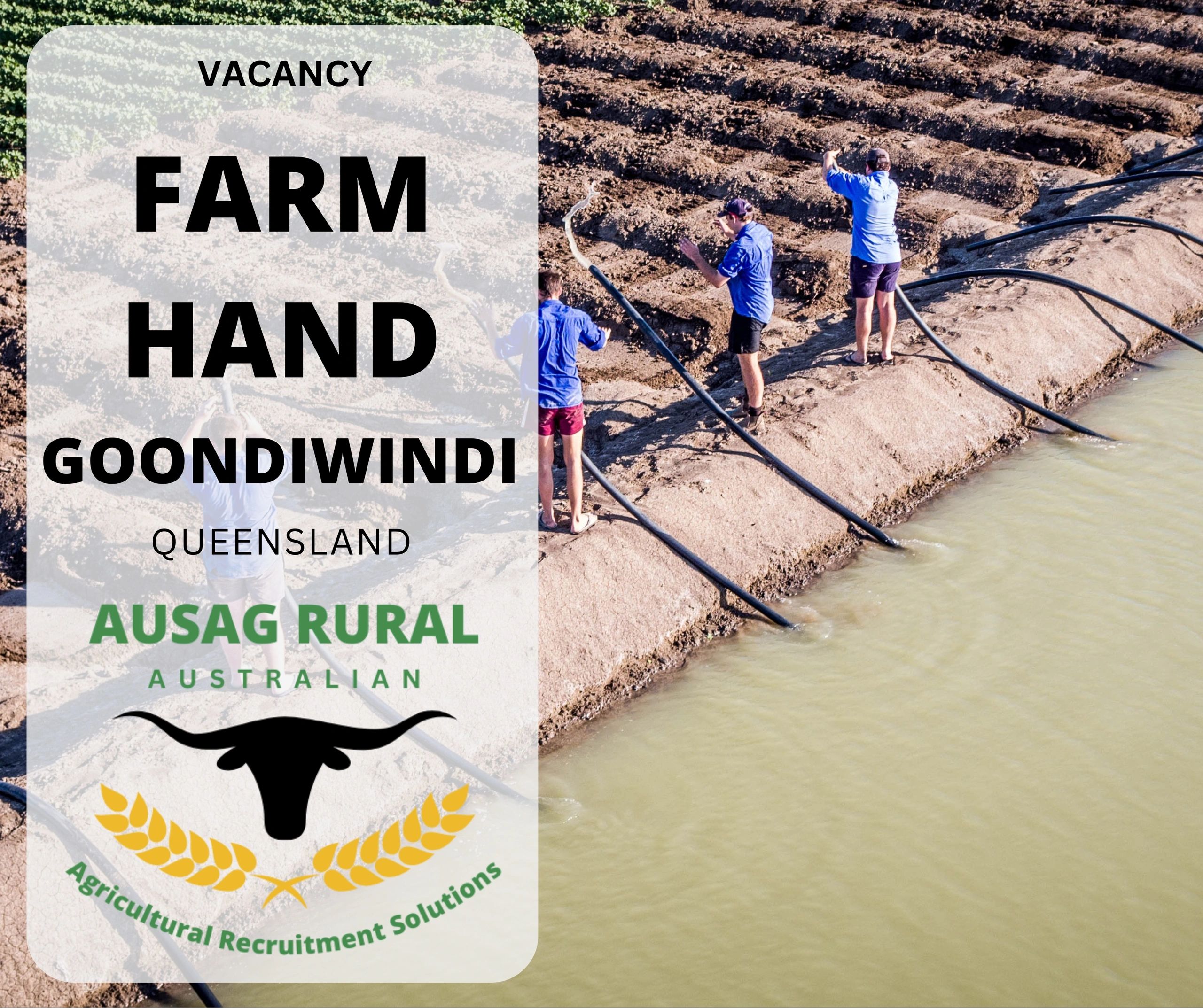 Farm Hand, GOONDIWINDI QLD