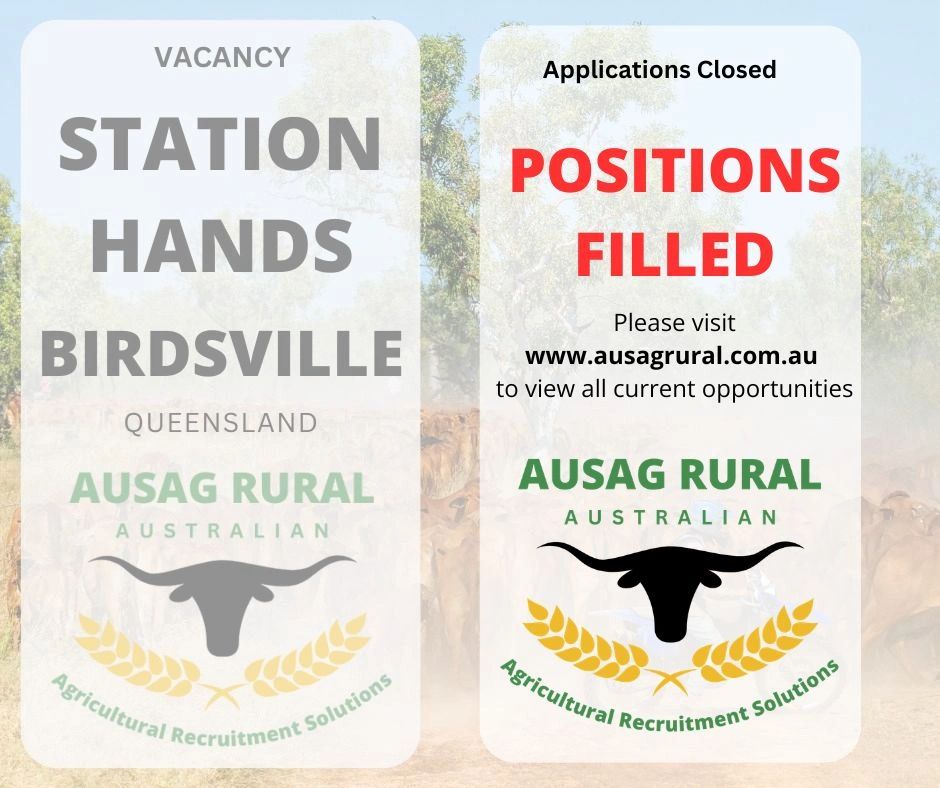 Station Hands, BIRDSVILLE QLD