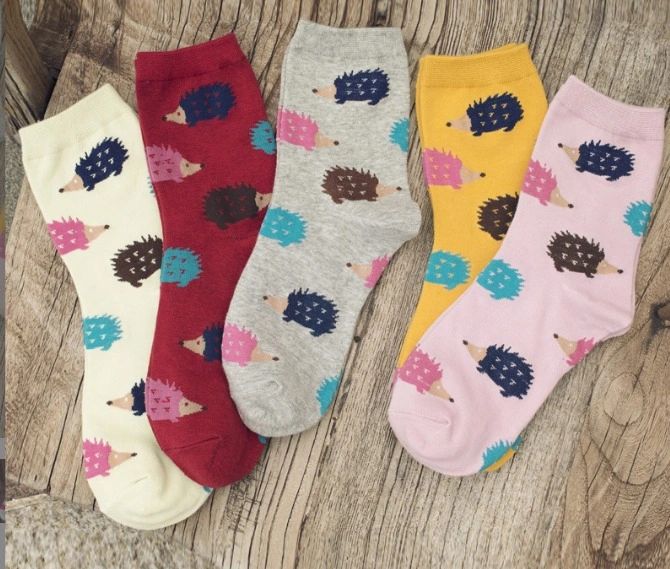 Coloured Hedgehog Socks - 5 Different Coloured Hedgehog Socks