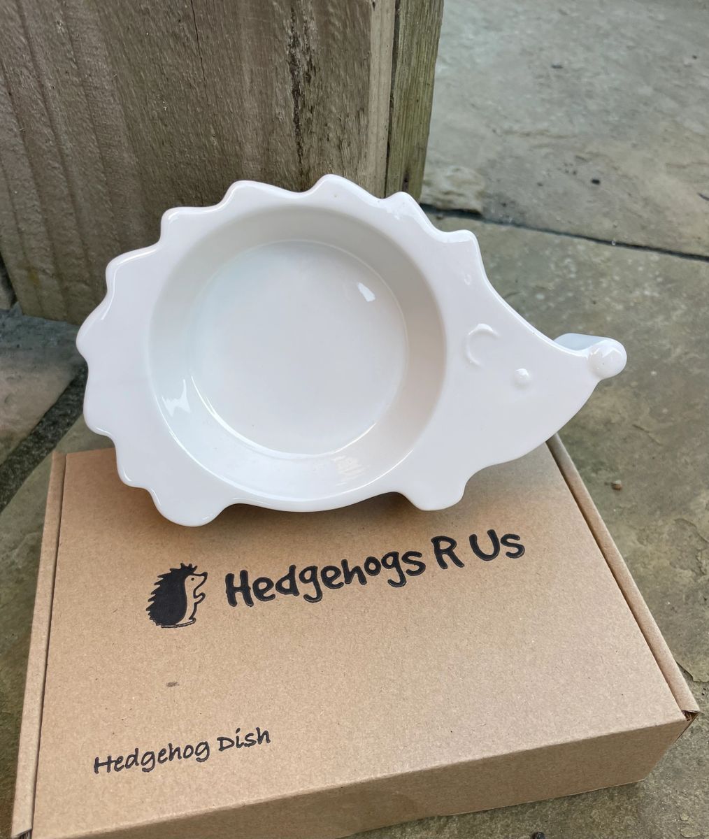 Porcelain Hedgehog Feeding Dish