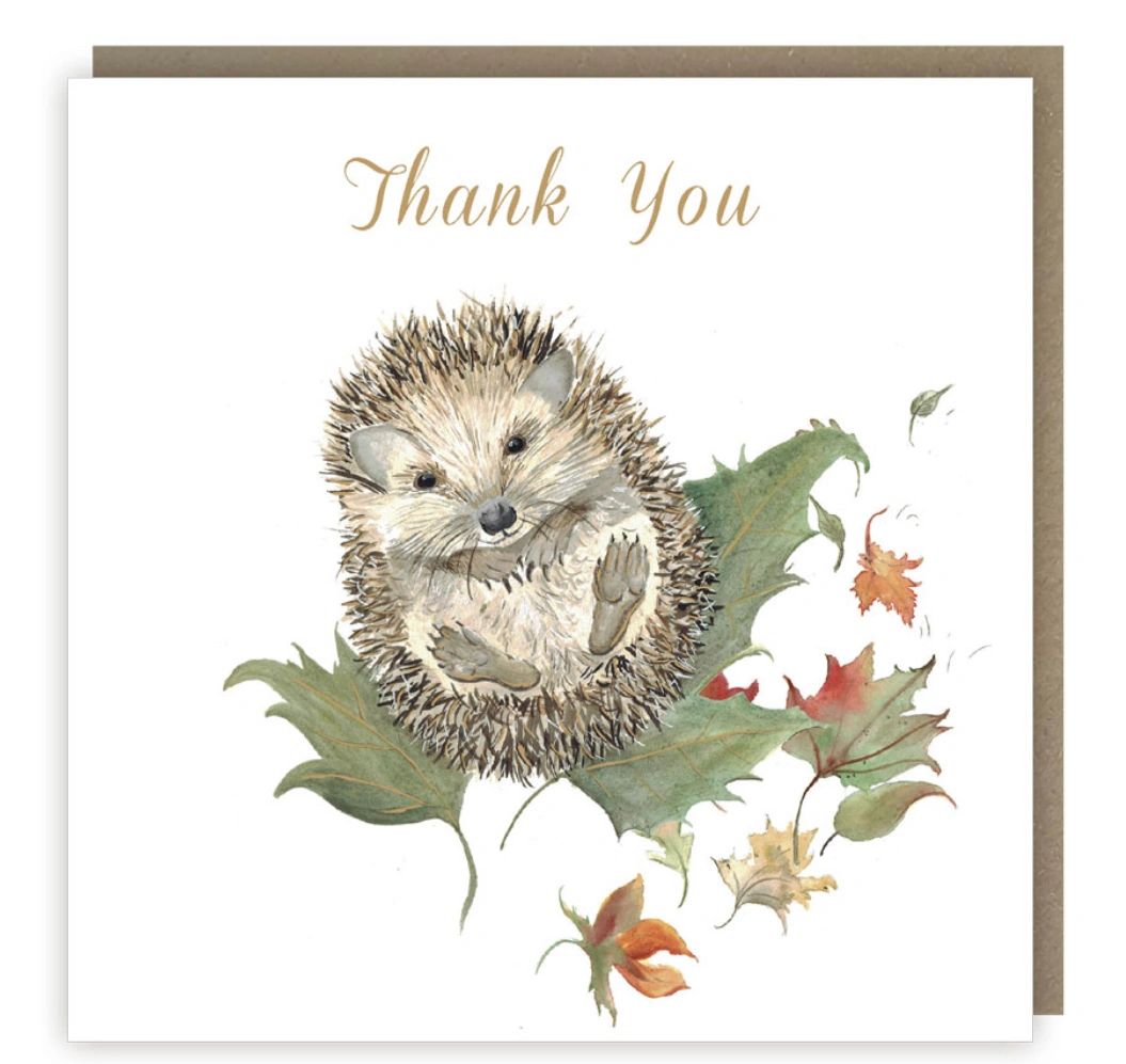 Hedgehog Thank You Card
