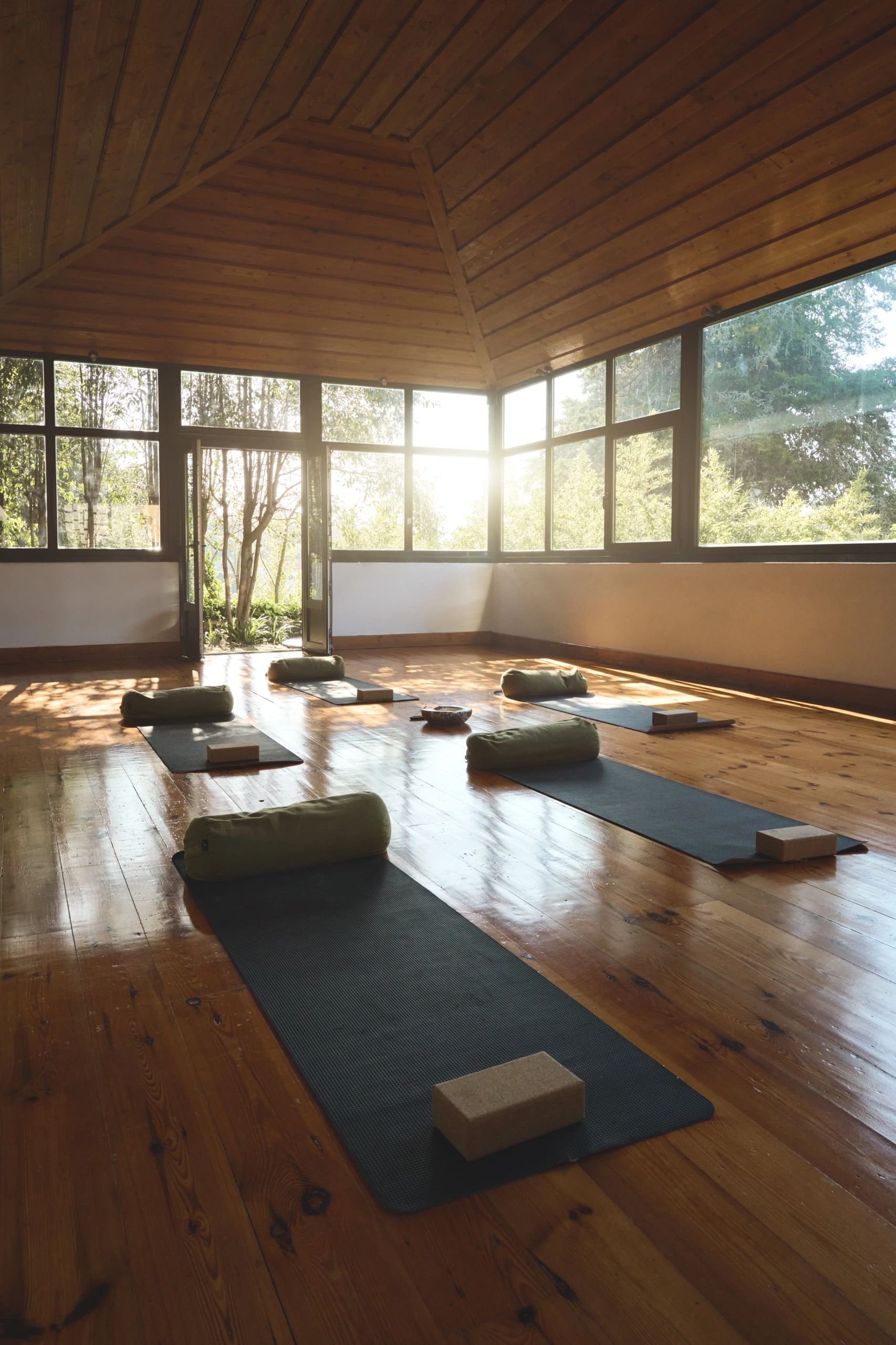 Mount Shambala | Online Beginner Pranayama Breathing Courses