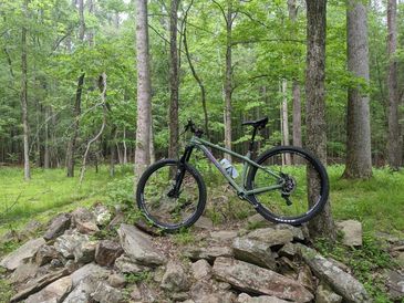 Beall's Bicycles - E-Bikes, Bike Rentals