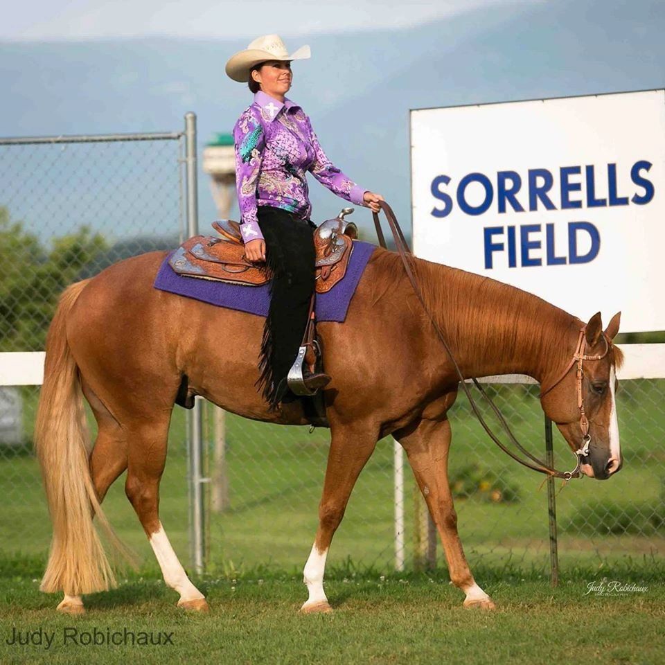 Toms Performance Horses, LLC - Riding Lessons - Brookneal, Virginia