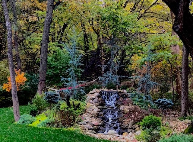 Images of Nature Kansas City