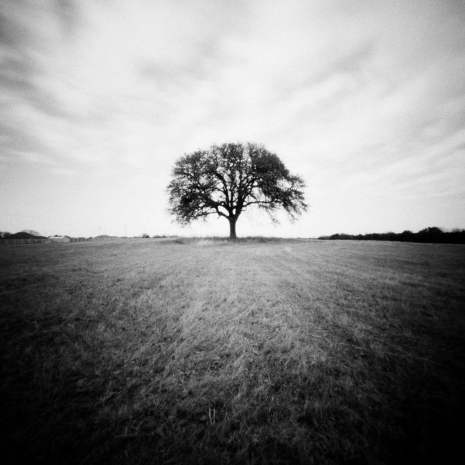 Stacey Stephens Counseling