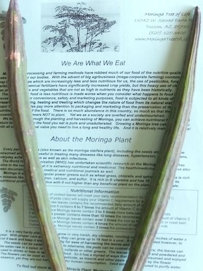 Nutritional Information - Moringa Tree of Life | Moringa Tree of Life