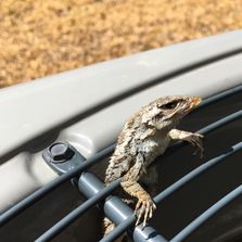 Rock Solid Heating & Cooling - Air Conditioning, Heating