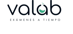 valab.cl - Inicio