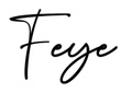 HOME [feyemusic.com]