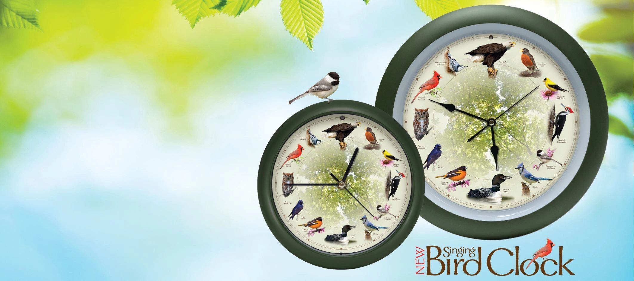 Mark Feldstein & Associates, Inc