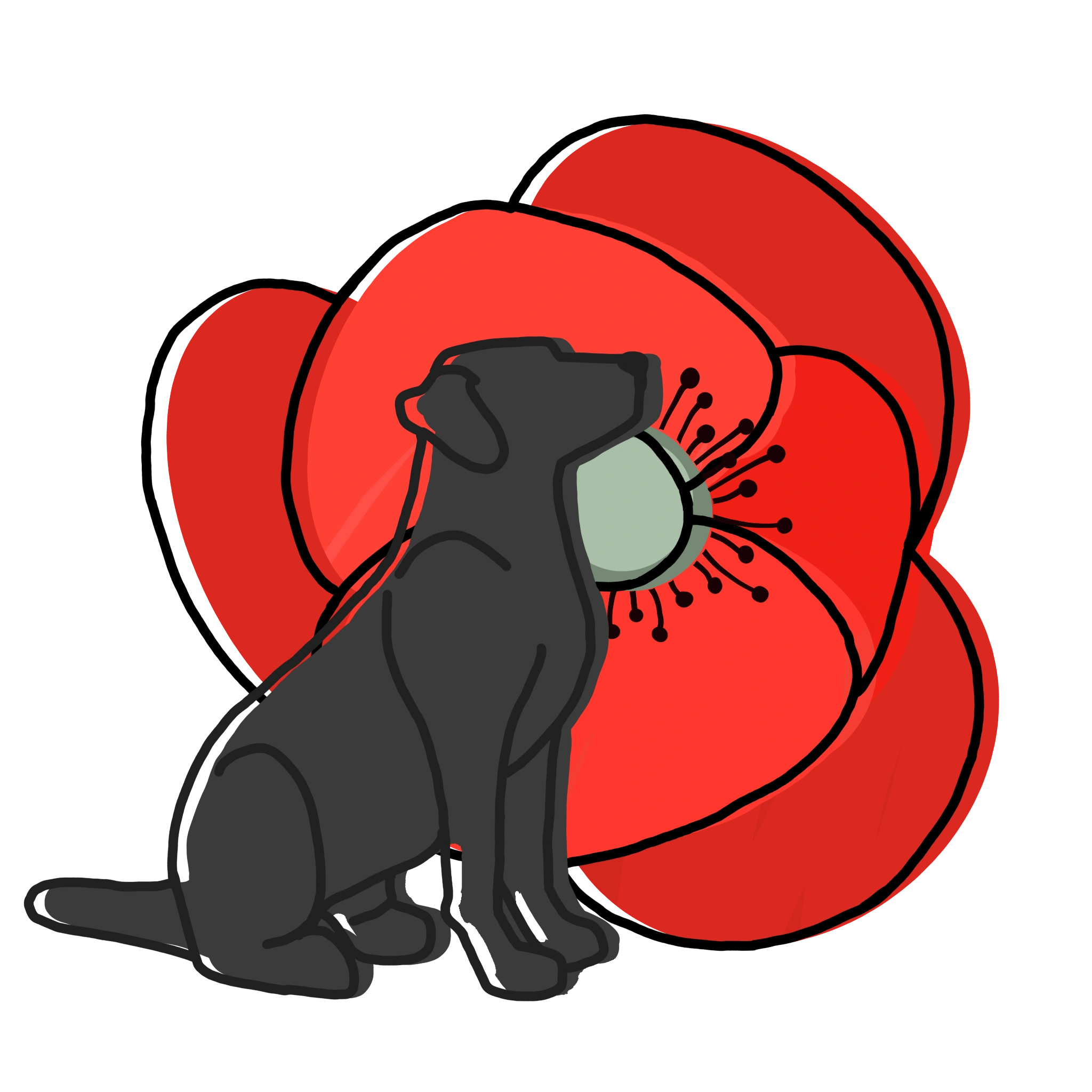 Professional Counselling and Psychotherapy Services