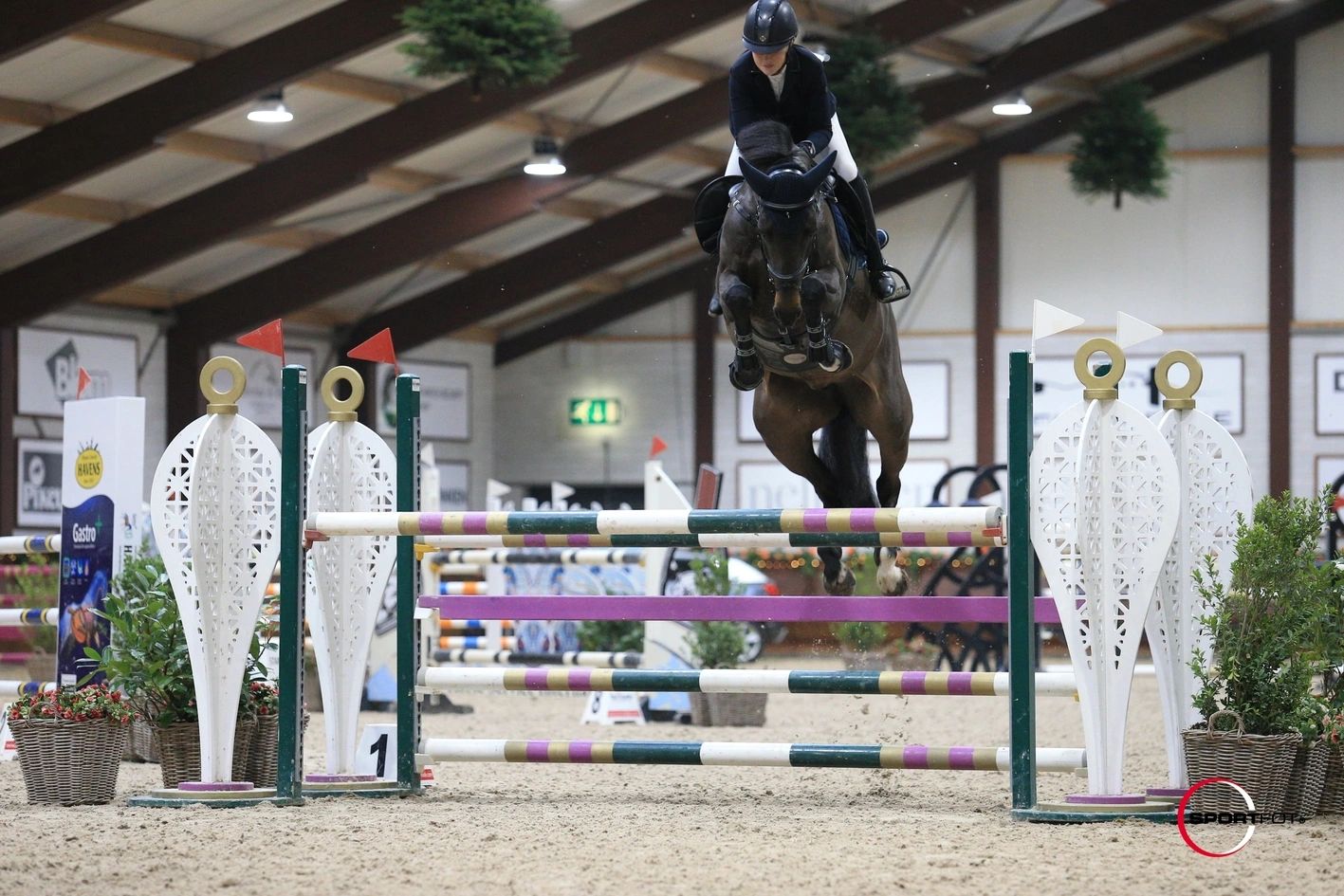 Gallery | Tilly Shaw Showjumping