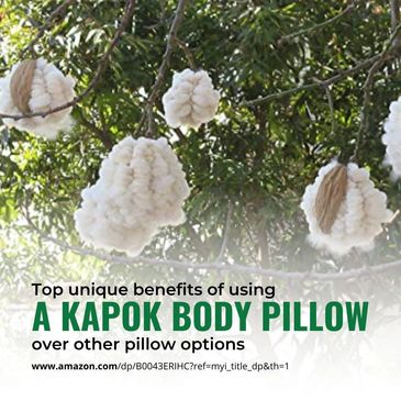 Natural Fiber Pillows - BODY PILLOWS