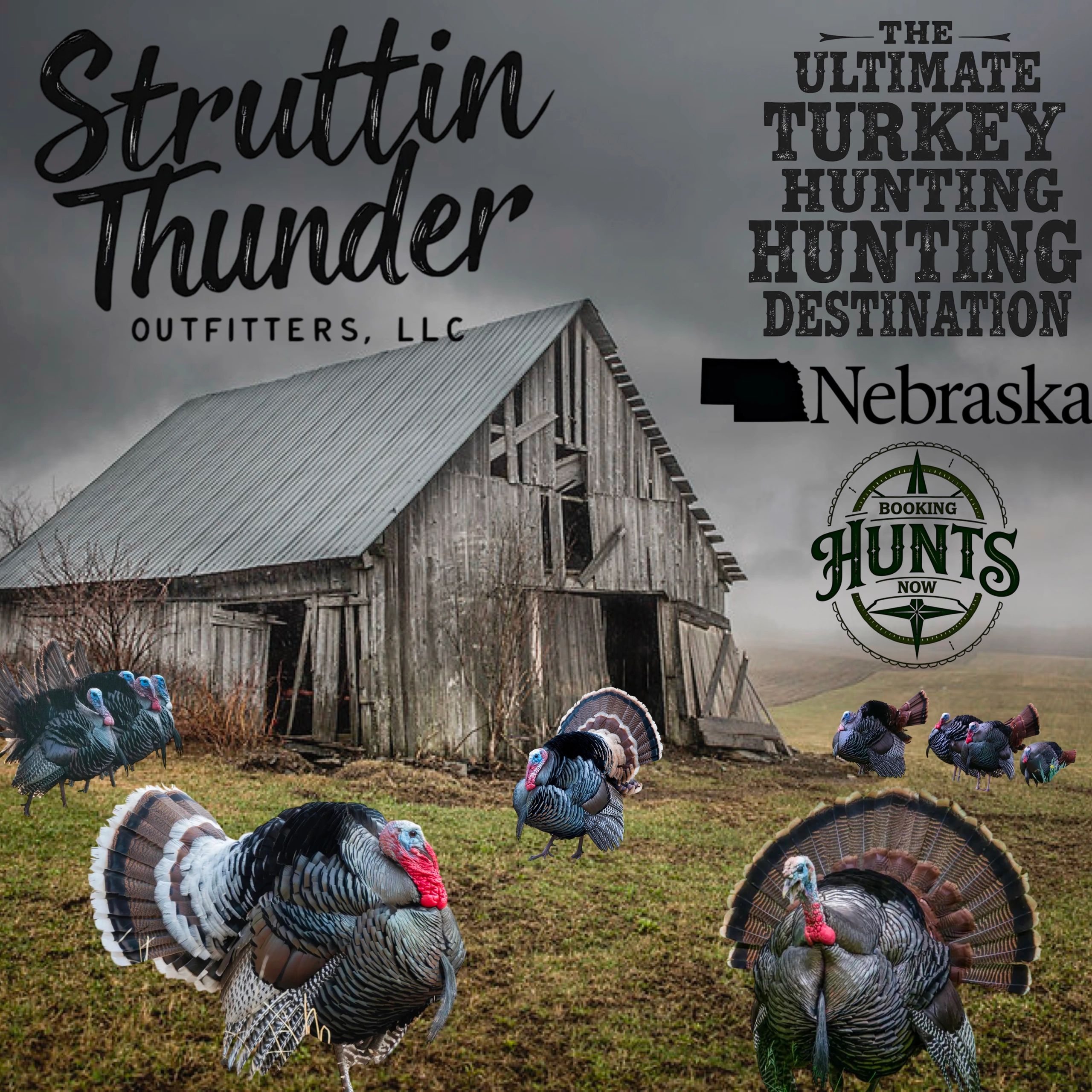 Struttin Thunder Outfitters