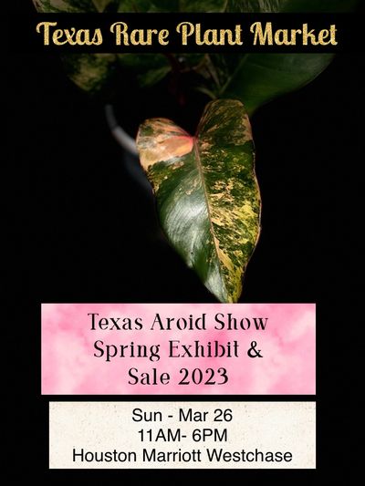 AROID SHOW INFO