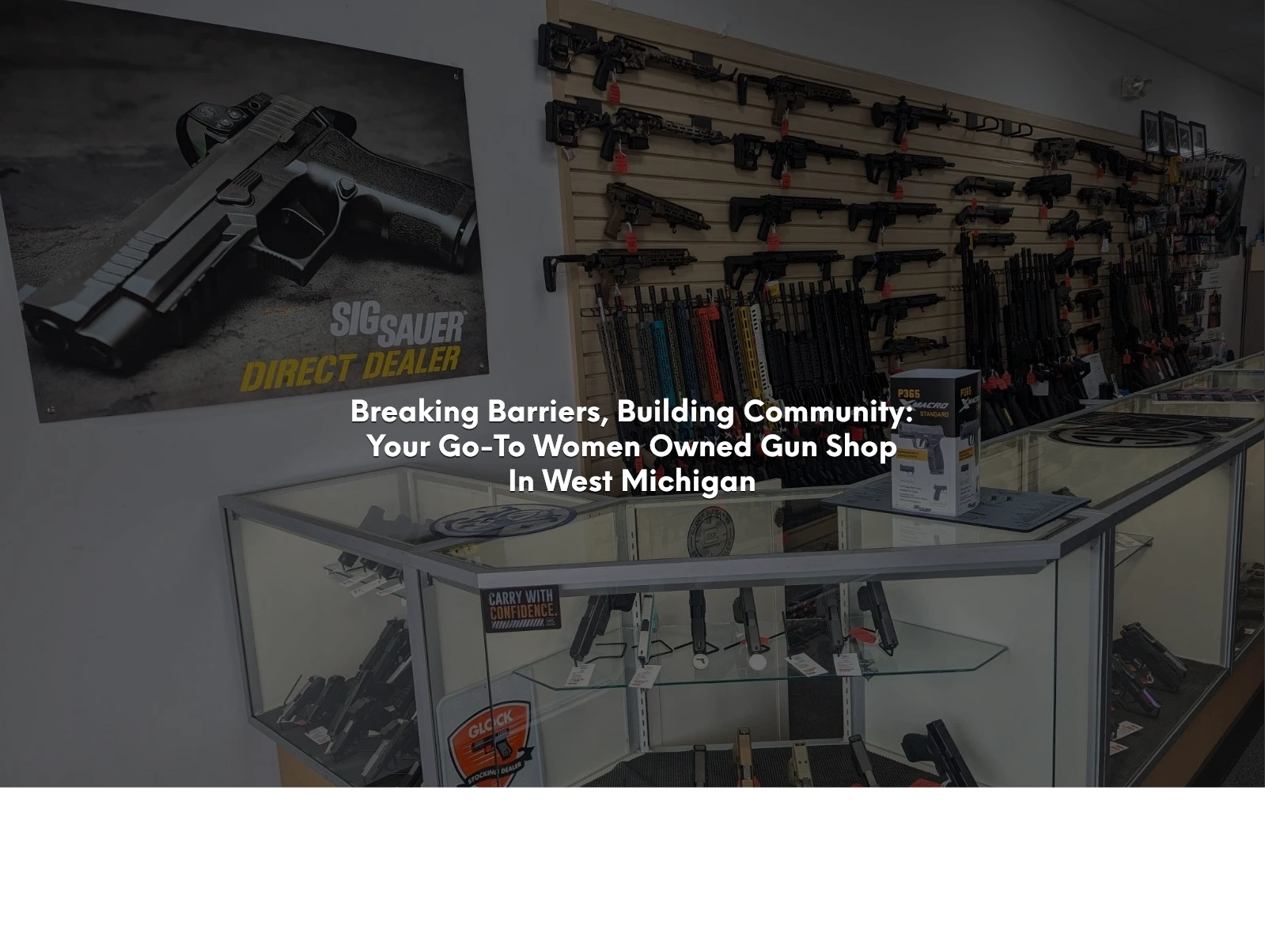 Grand Rapid's One Stop Shop for Firearms - Flashpoint Firearms, Parts ...