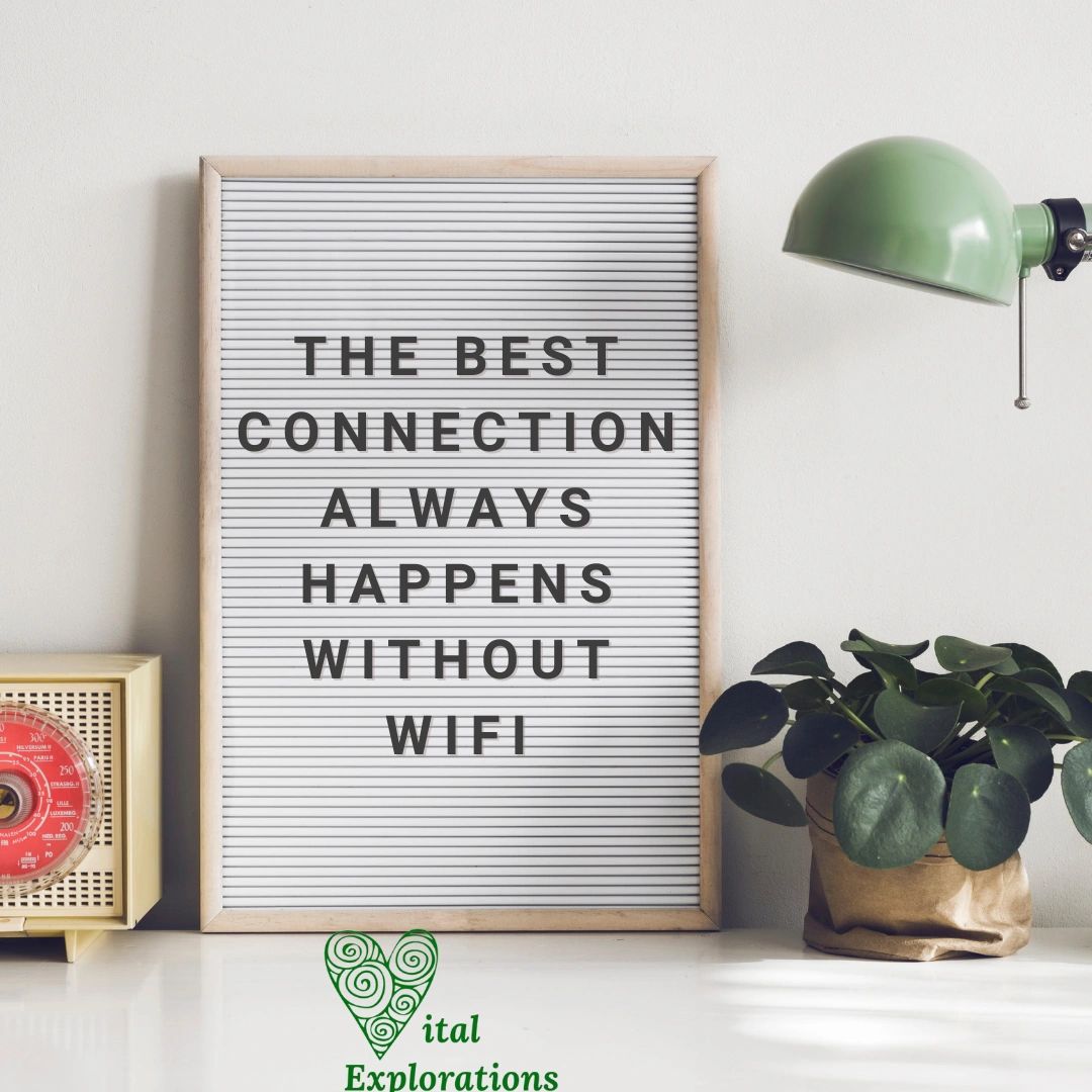 The Healing Power of Connection: A Holistic Approach