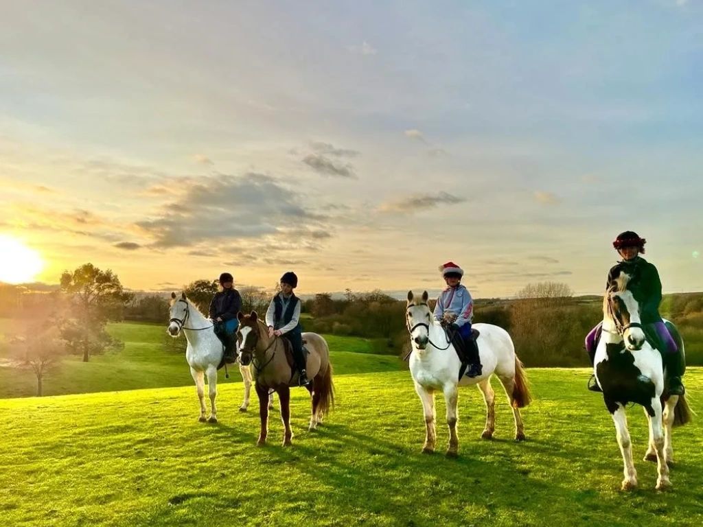 Friendly Livery Yard & Arena Hire