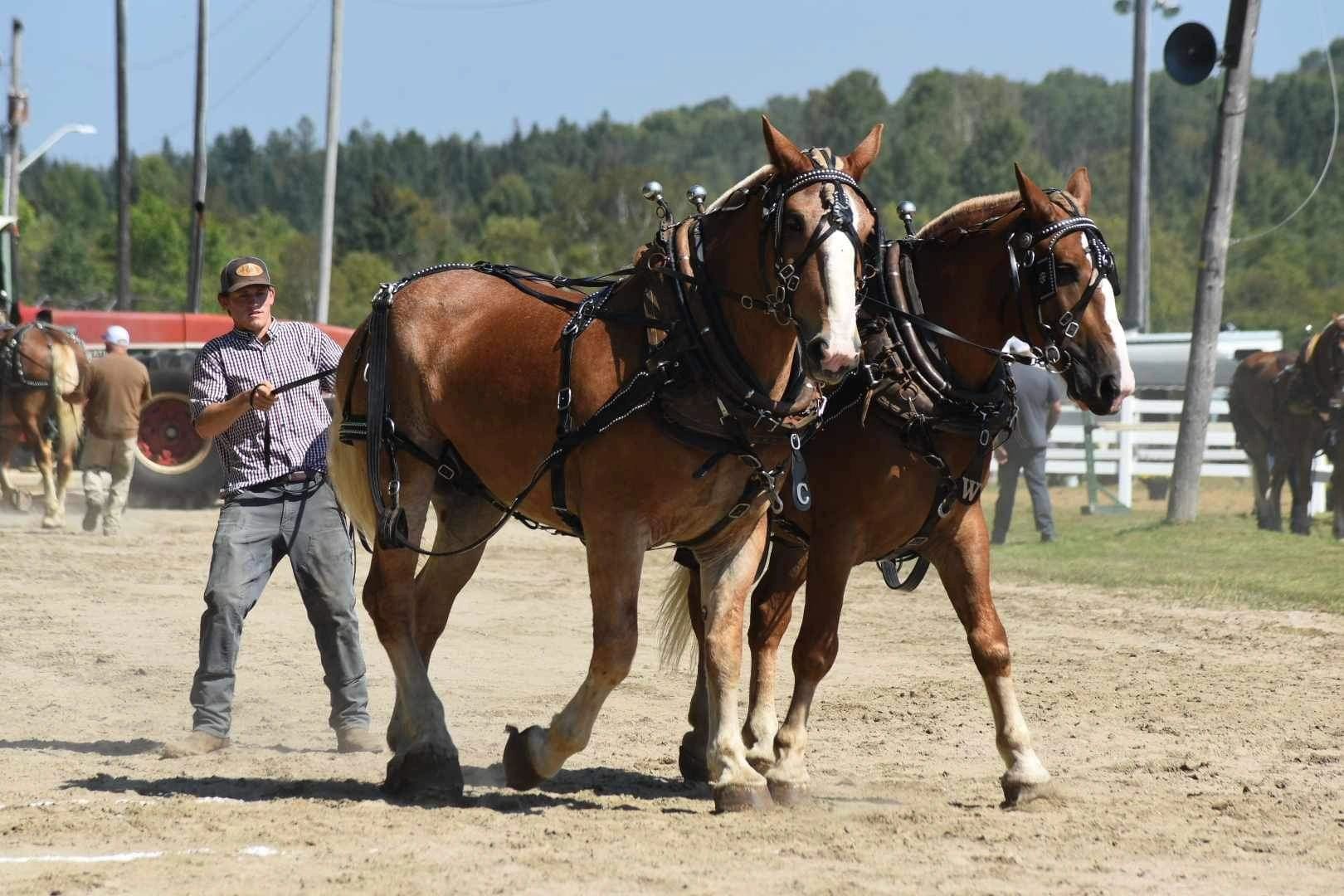 Fall Fair – Armour, Ryerson & Burk's Falls Agricultural Society