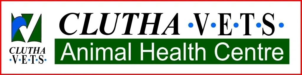 Students | Clutha Vets Association
