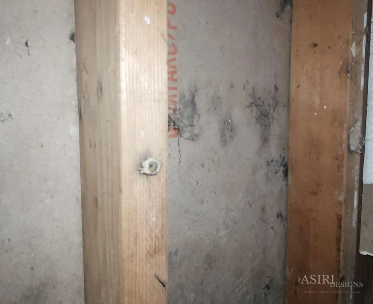 Preventing Mold in Bathrooms